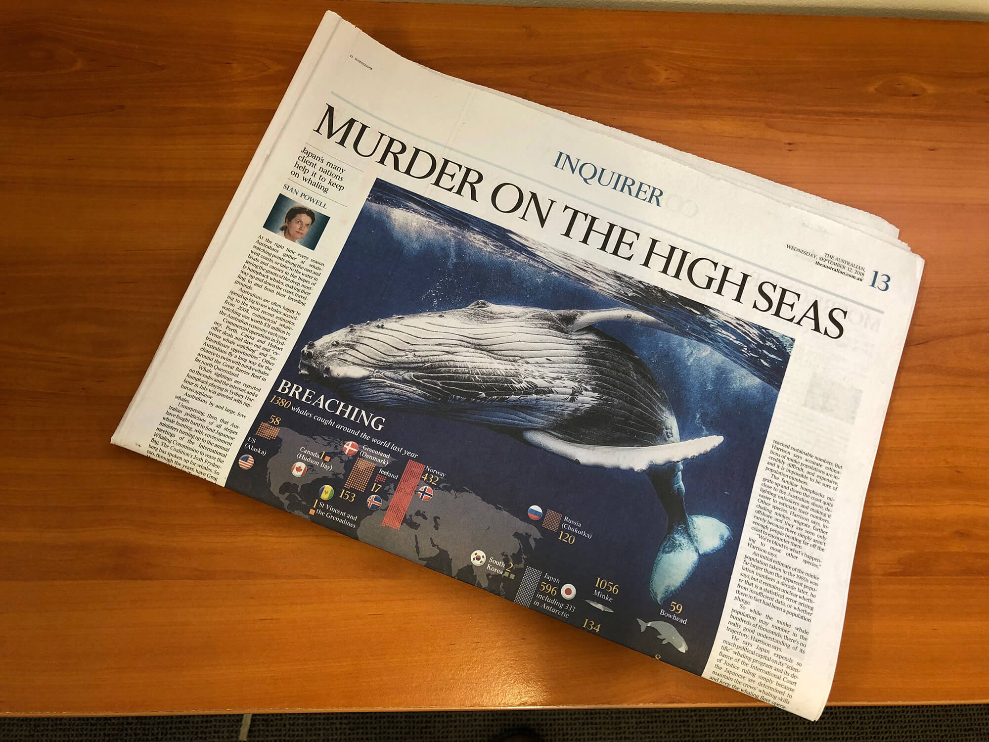 Media Releases - Page 9 of 80 - Australian Marine Conservation Society