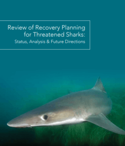 Review of Recovery Planning for Threatened Sharks: Status, Analysis ...