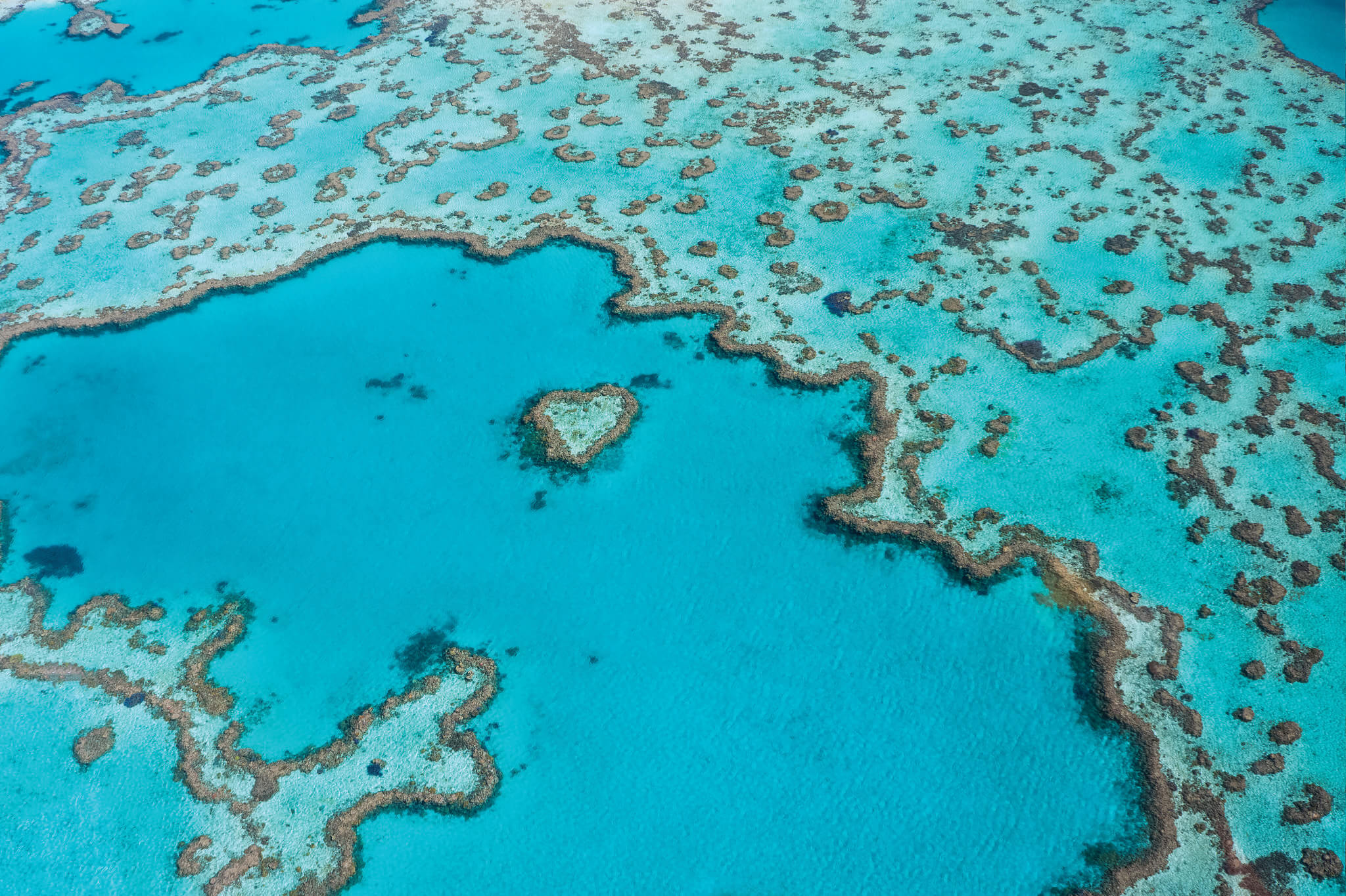 No plan for climate change in updated Reef 2050 Plan - Australian ...