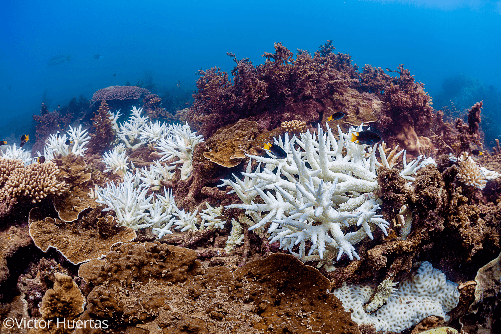 Every fraction of a degree is worth fighting for: UN climate report a ...