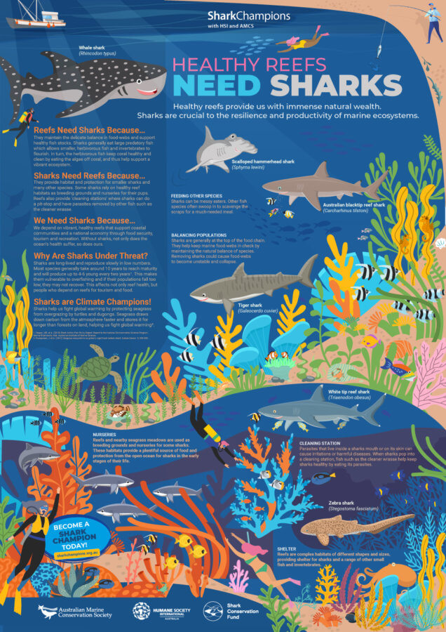 Shark Posters - Australian Marine Conservation Society