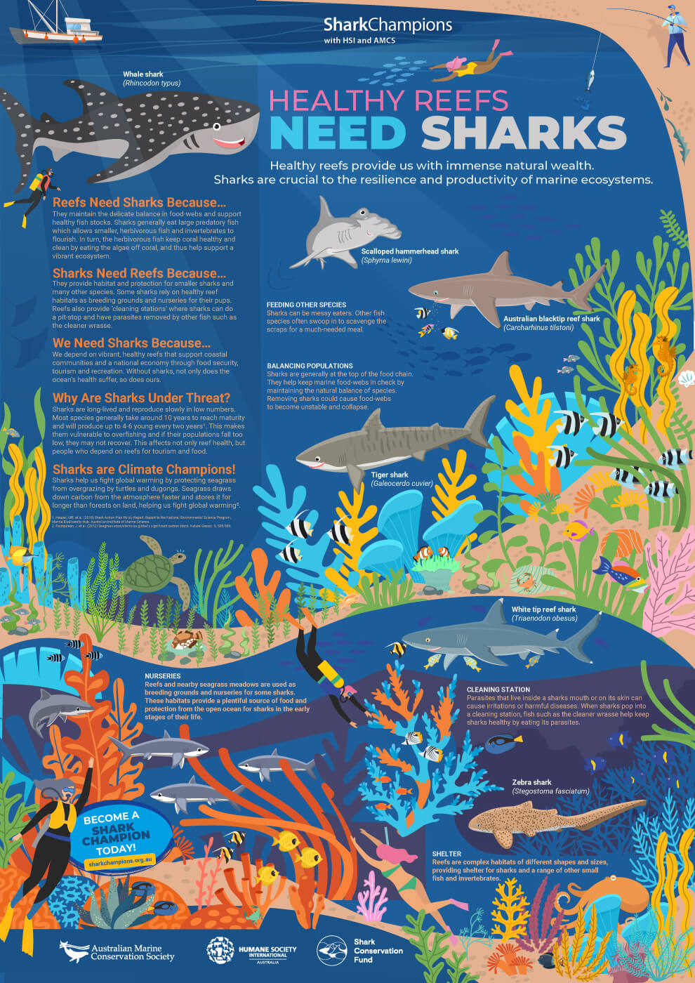 Shark Posters - Australian Marine Conservation Society