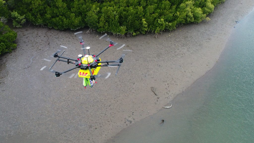 Conservation groups welcome drone surveillance for Queensland beaches ...