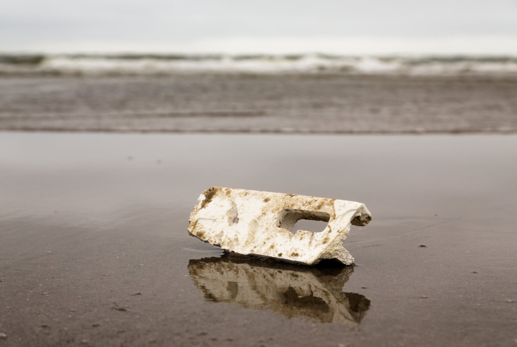 Ocean advocates welcome polystyrene and microplastic action in National ...