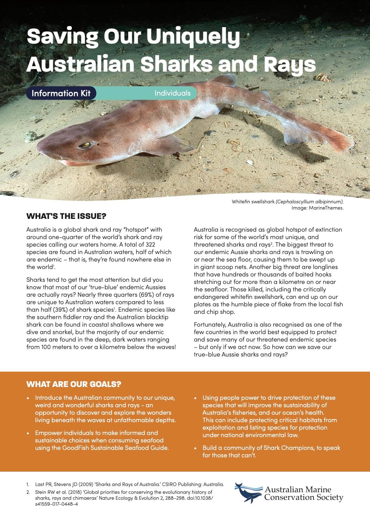 Aussie Shark & Ray Action Pack - Australian Marine Conservation Society