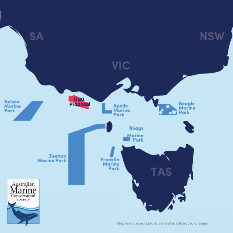 What is seismic blasting? - Australian Marine Conservation Society