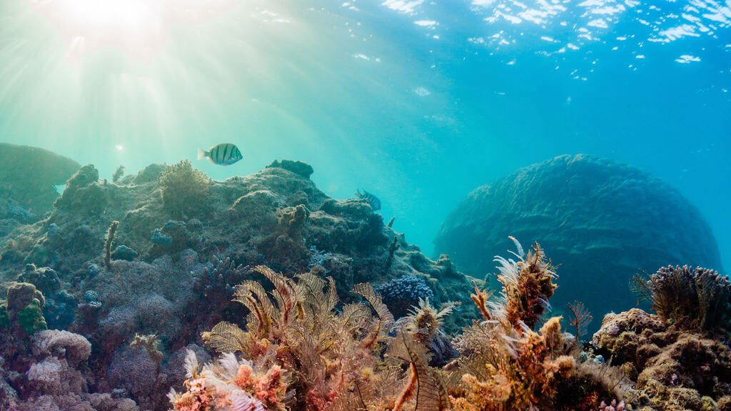 New Exmouth Gulf Taskforce confirms urgent need for environmental ...