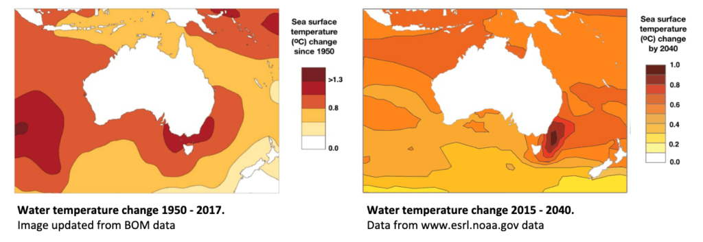 Crisis unfolding in major Australian fishery - Australian Marine ...