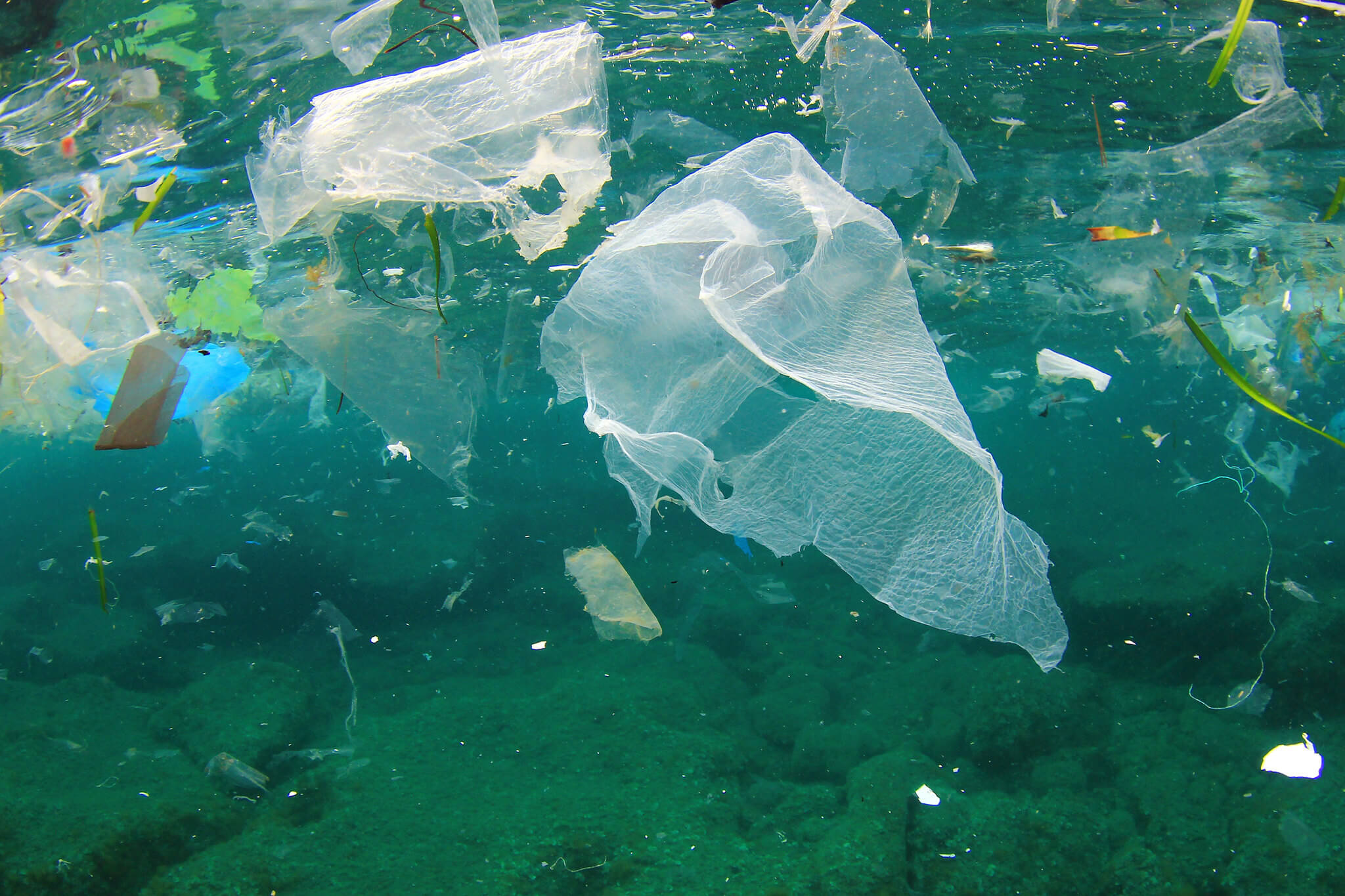 Ocean Plastic Pollution - Australian Marine Conservation Society