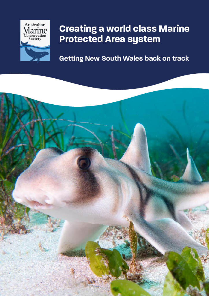 Report: Creating a world class marine protected area system in NSW