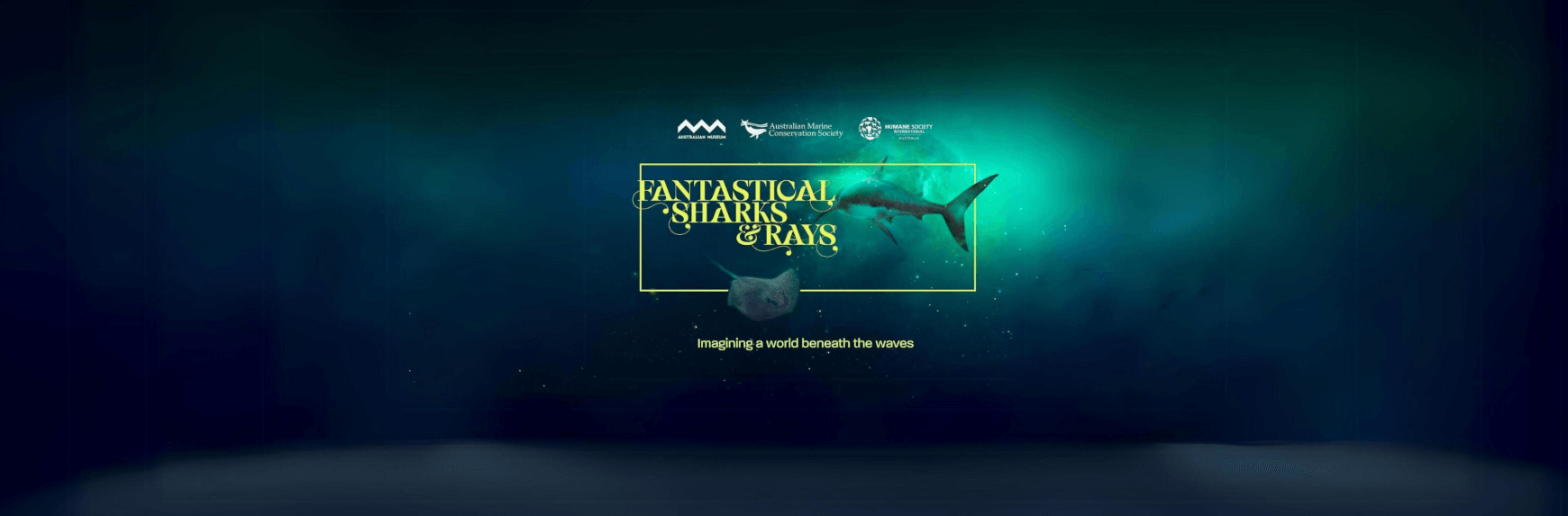 Fantastical Sharks & Rays Exhibition - Australian Marine Conservation ...