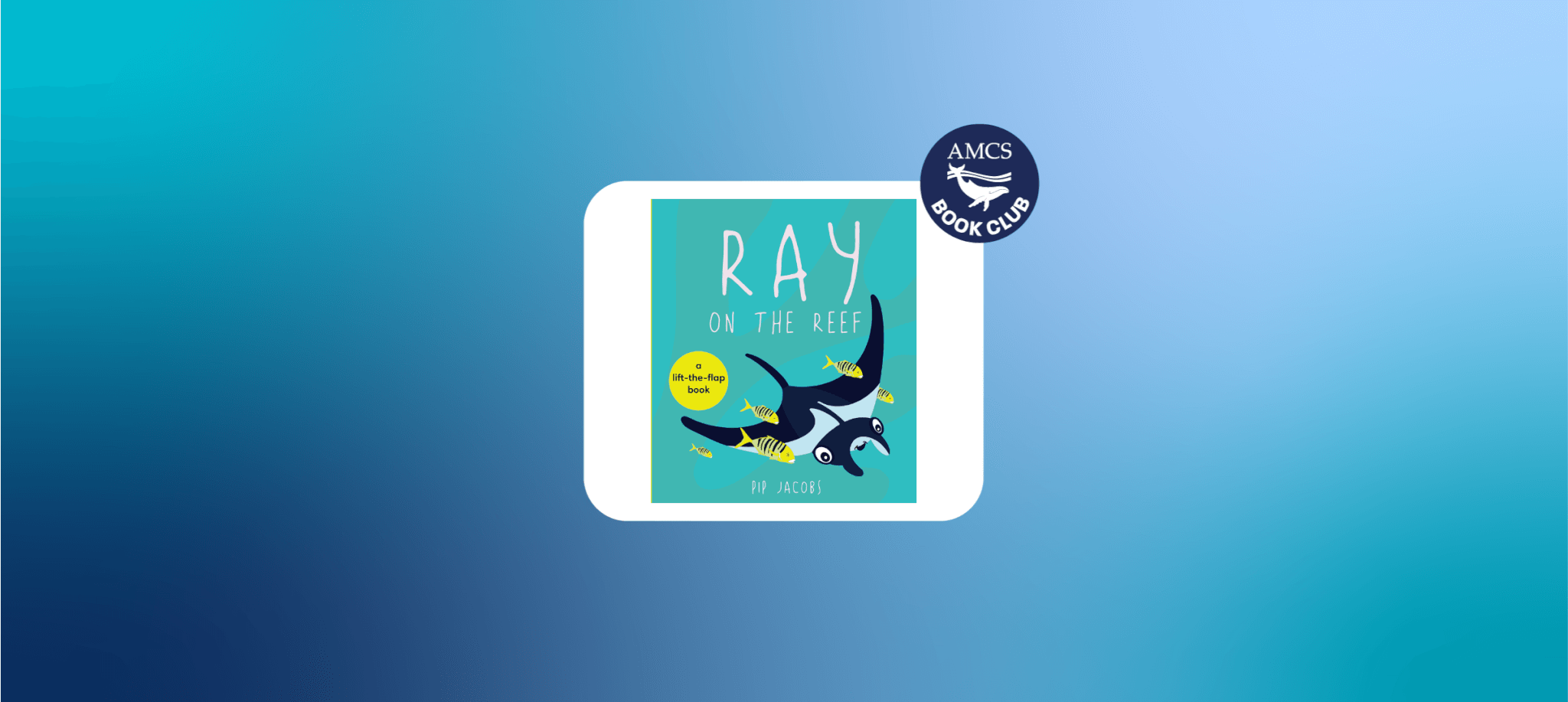 Ray on the Reef by Pip Jacobs - Australian Marine Conservation Society