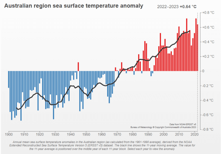 What are marine heatwaves