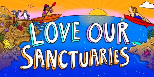 Act now for marine protection in NSW