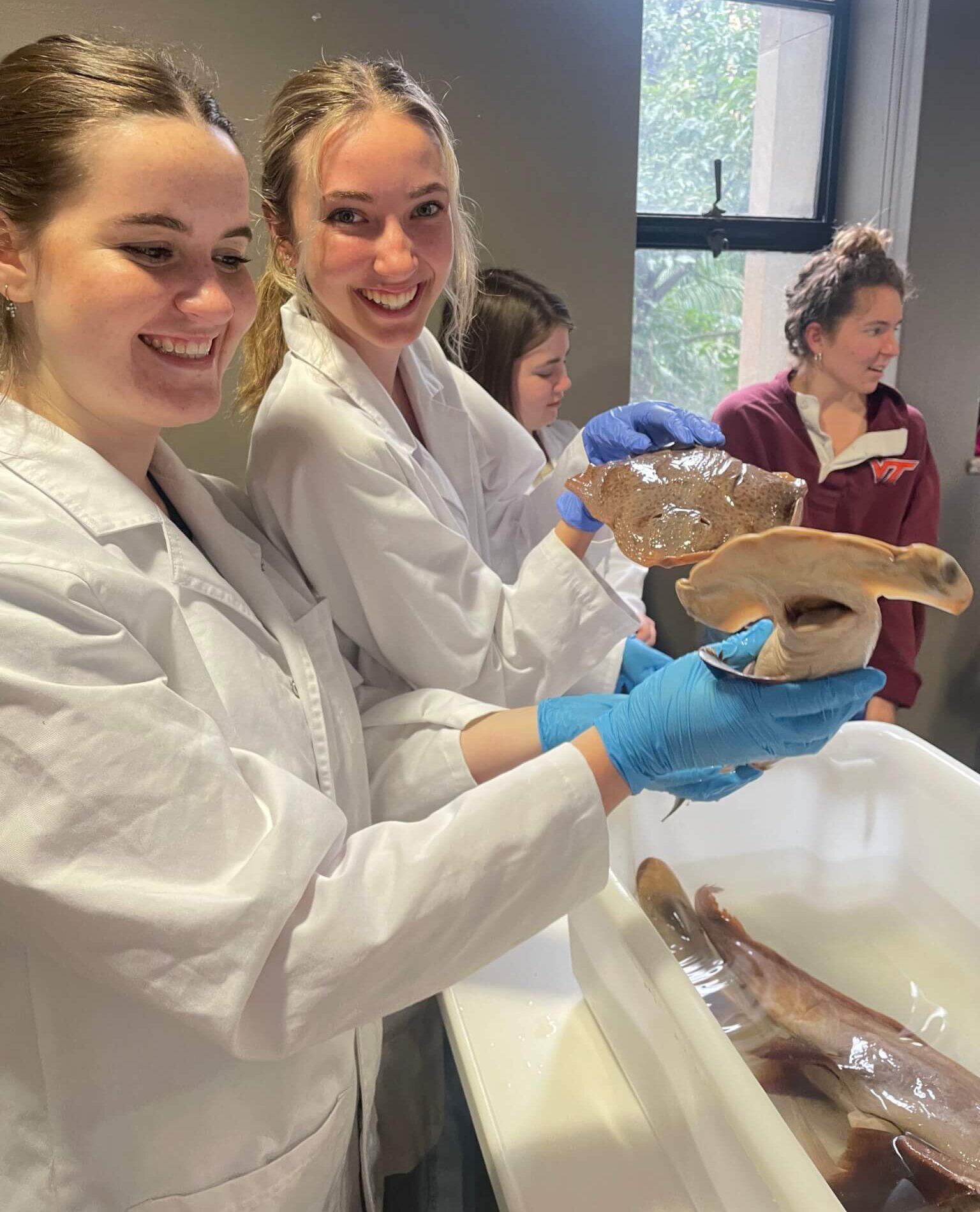 TTT Summer 2024 - Hello Emma & Tish - Australian Marine Conservation ...