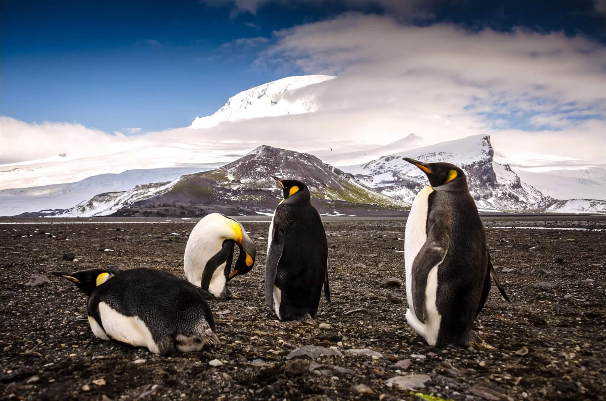 Understanding the marine ecosystems surrounding Heard Island and ...