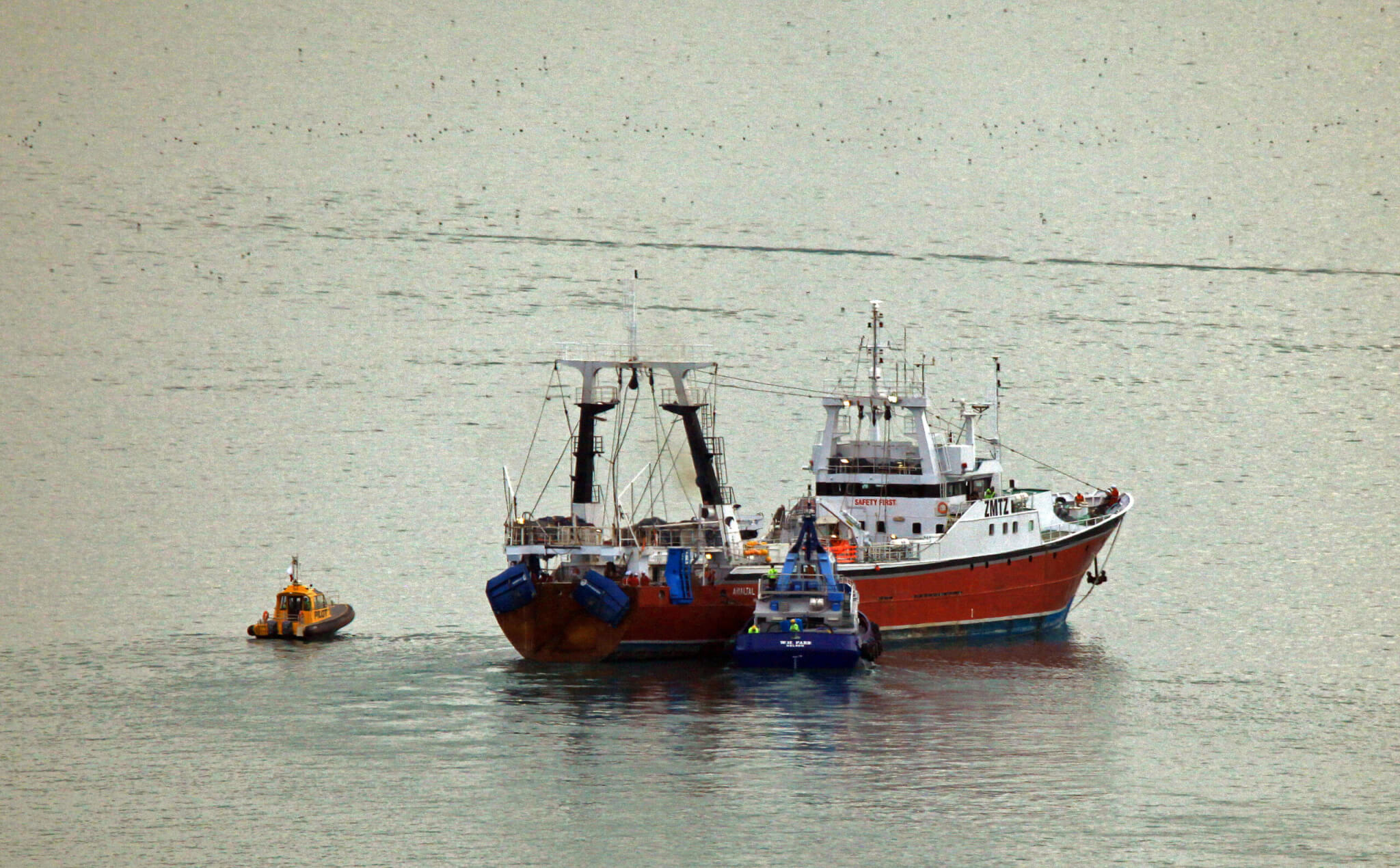 Kiwi factory fishing trawler given Aussie flag to hunt our endangered ...