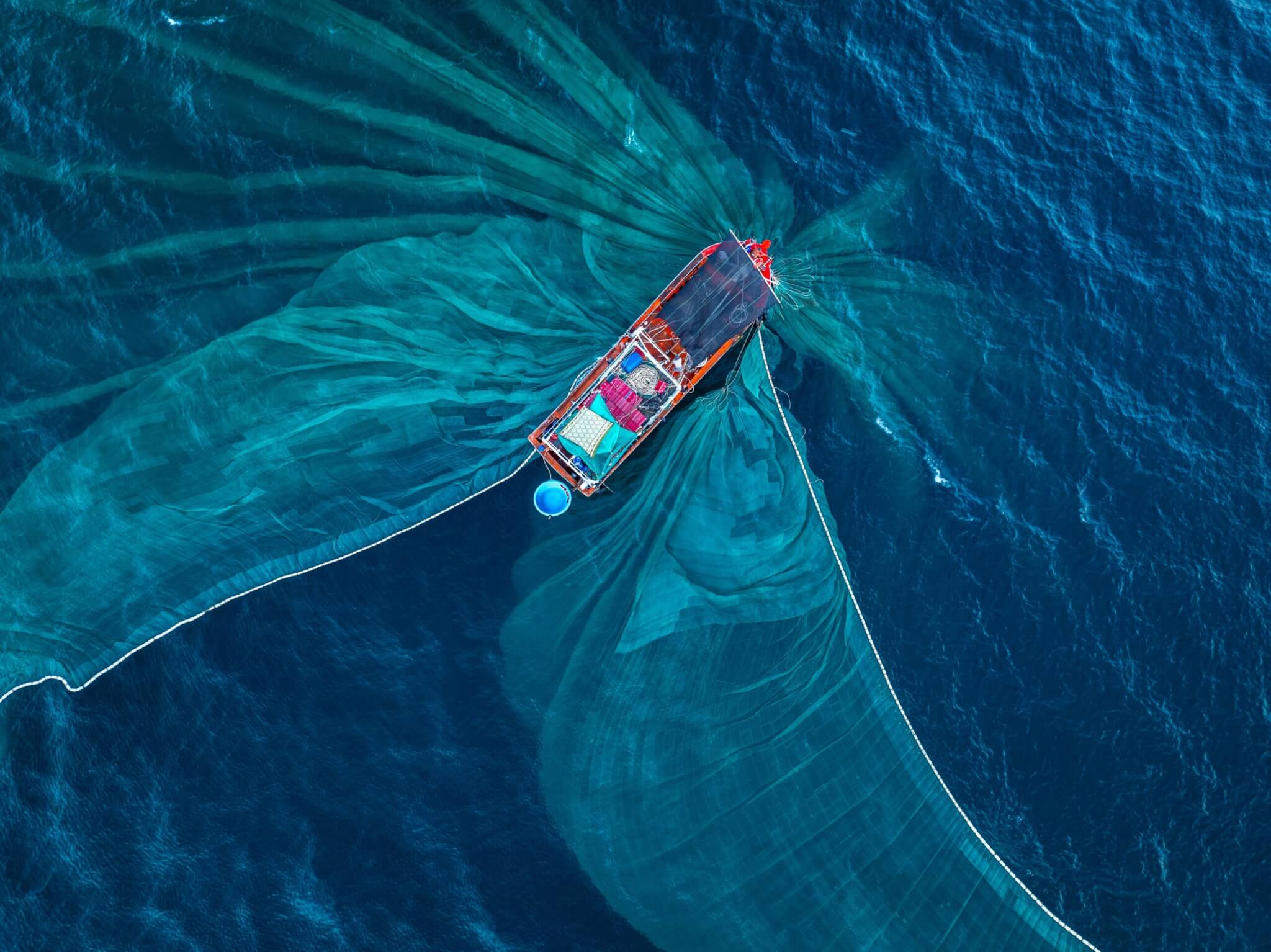 Transparency and traceability in fisheries - Australian Marine ...