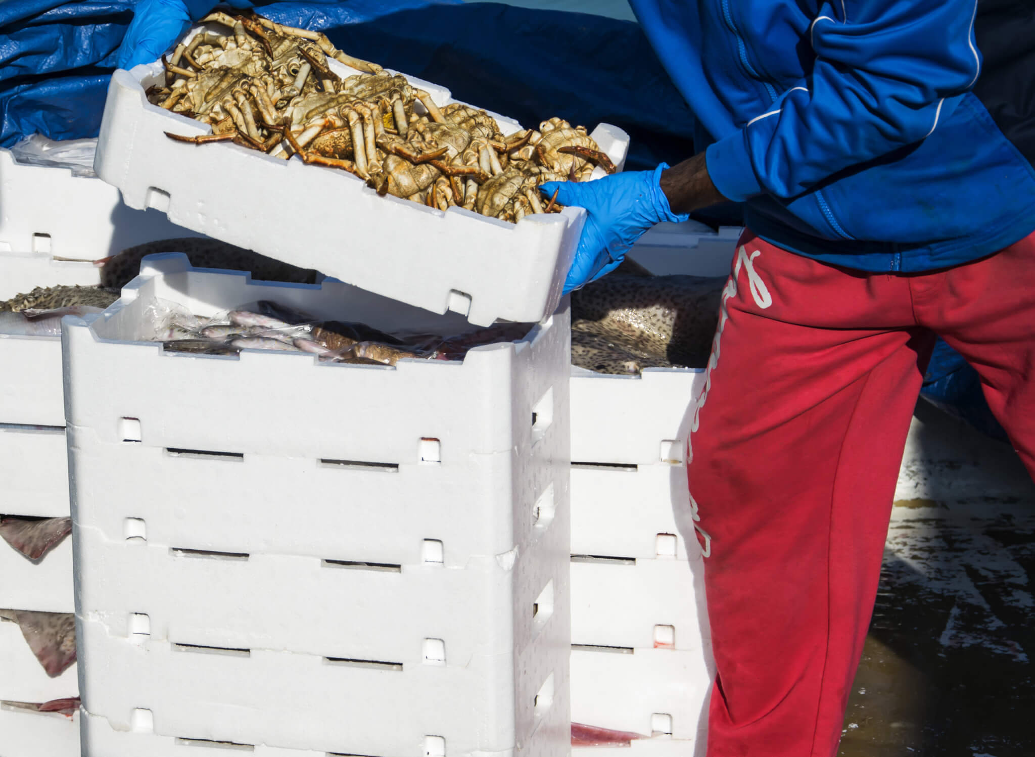 Transparency and traceability in fisheries - Australian Marine ...