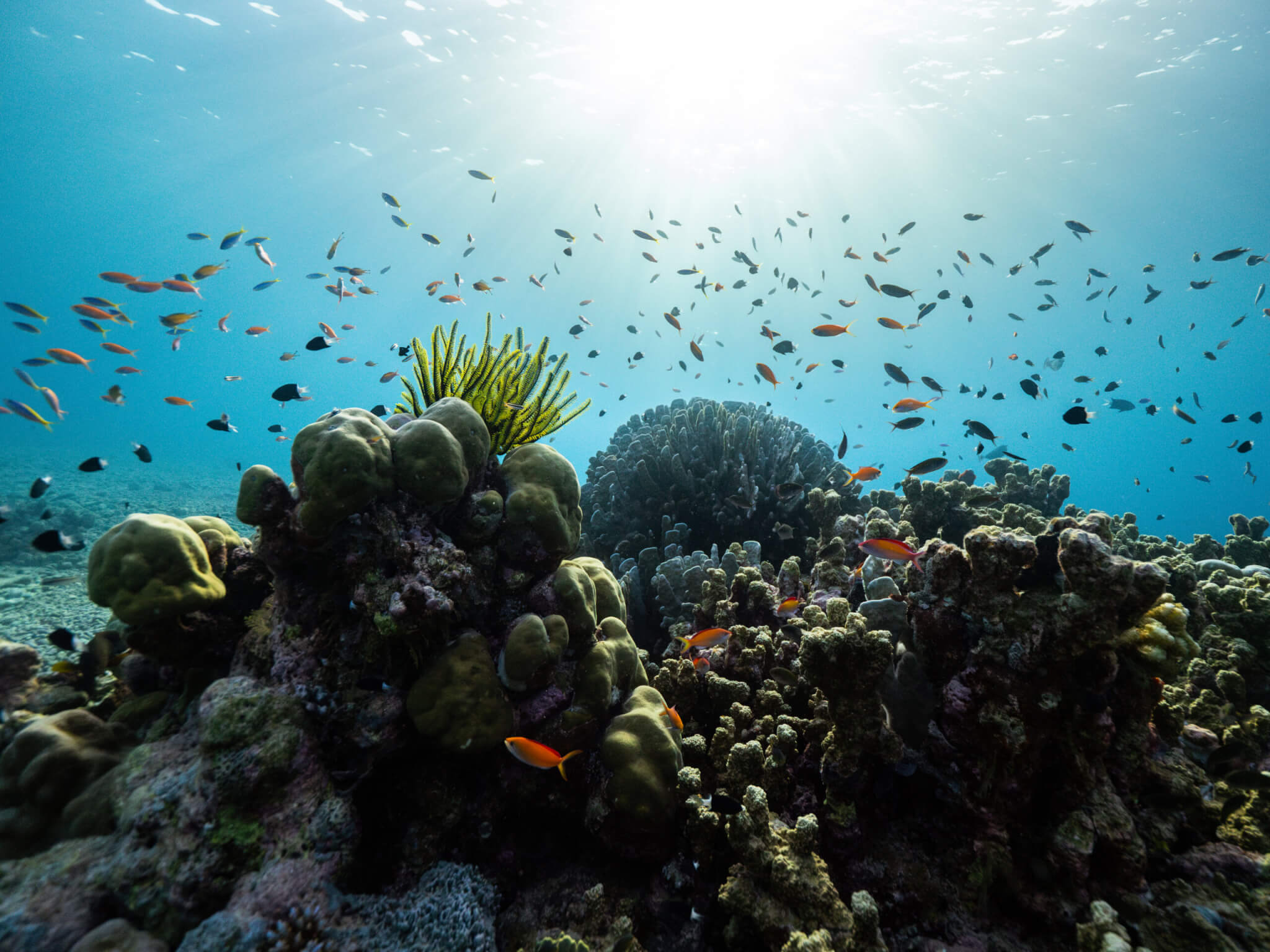 Fighting Woodside on a boat with Tim Winton and John Butler ...