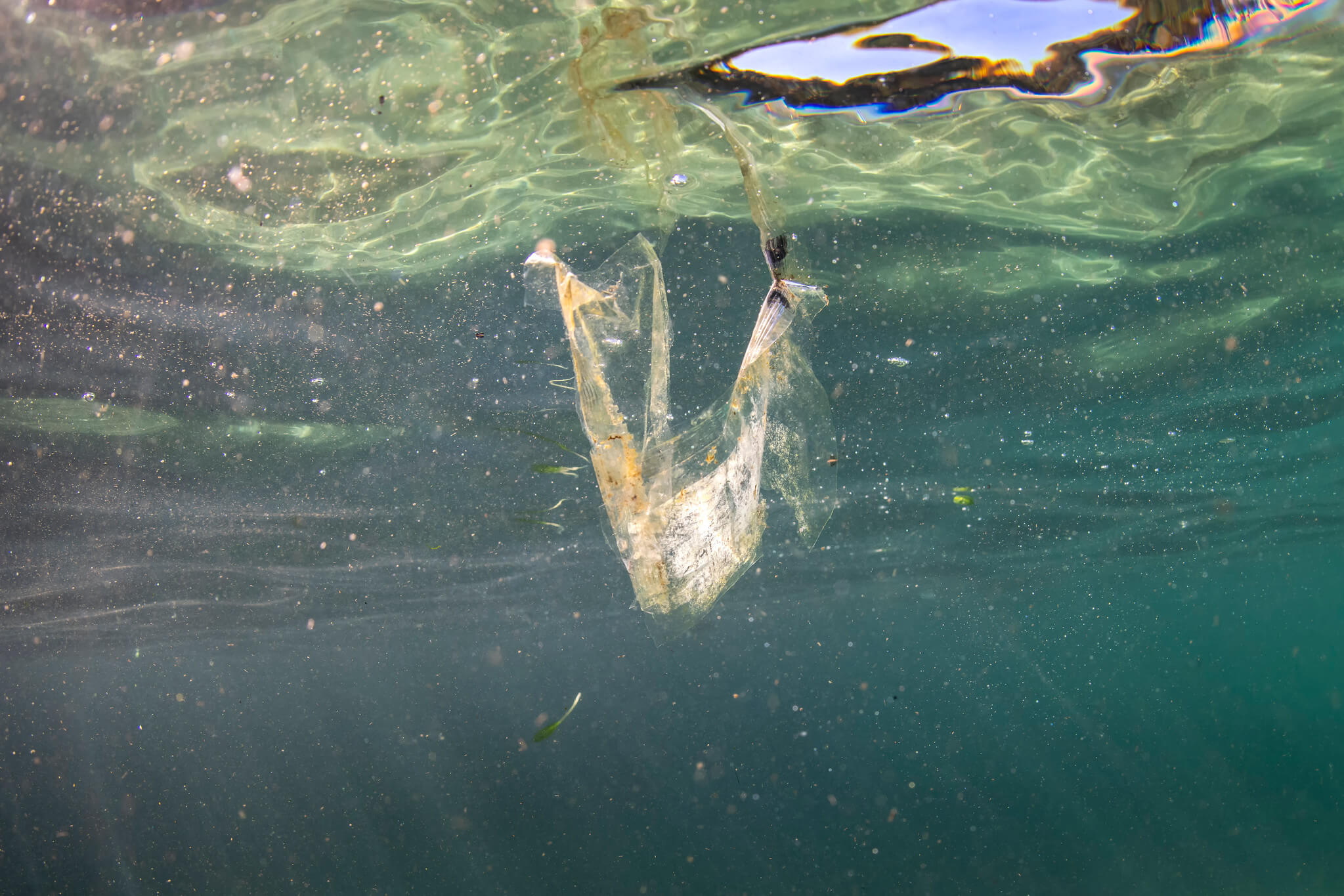 Soft plastic recycling has changed again – here’s what you need to know ...